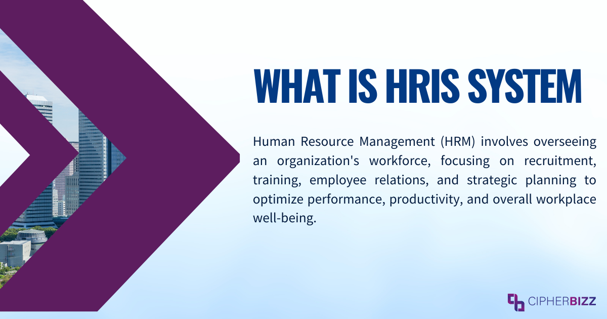 What is Human Resources Information System - CipherBizz