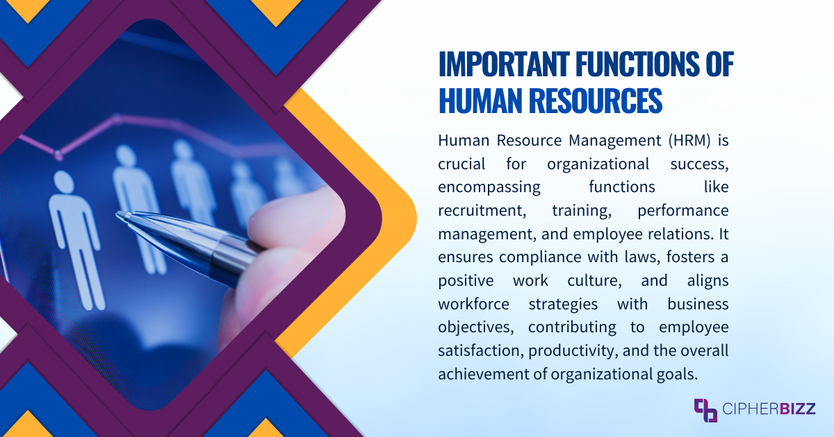 What is Human Resources Information System - CipherBizz